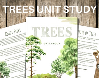 Parts of a Coniferous Tree Conifer Unit Study Montessori - Etsy