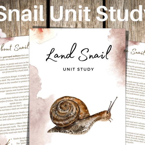 SNAIL Unit Study Life Cycle Anatomy Nature Study Science - Etsy