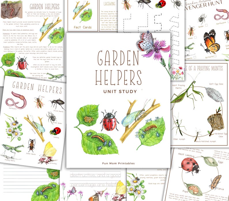 Garden Insects Unit Study Bundle: Pests, Pollinators, Earthworm ...