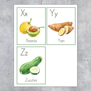 Fruit and Vegetables Alphabet Flashcards. Watercolor Letter Cards. Kids ...