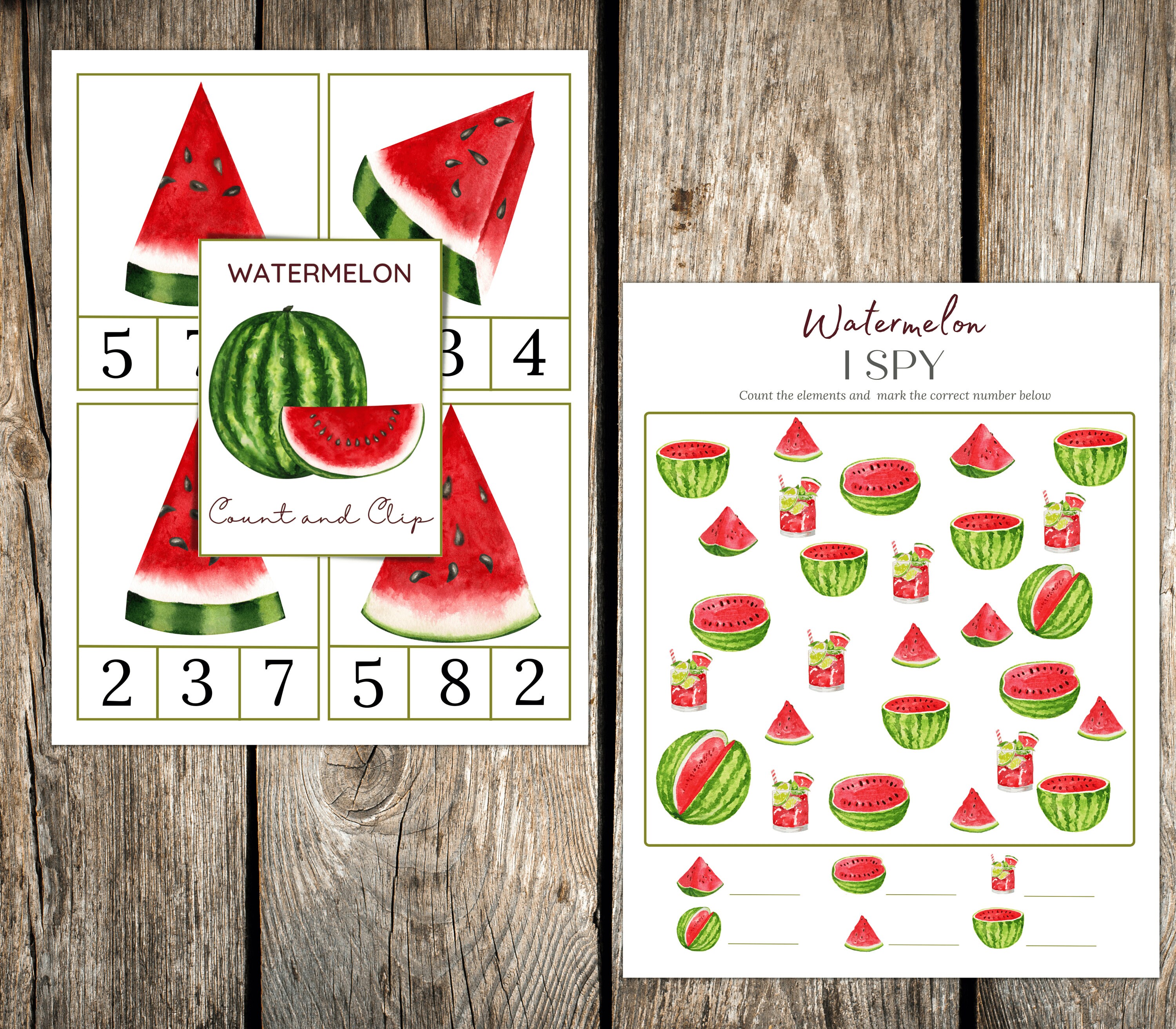 WATERMELON Unit Study Life Cycle Anatomy Nature Study - Etsy