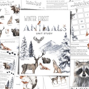 WINTER NATURE BUNDLE, Winter Forest Animals Unit, Winter Birds Unit ...