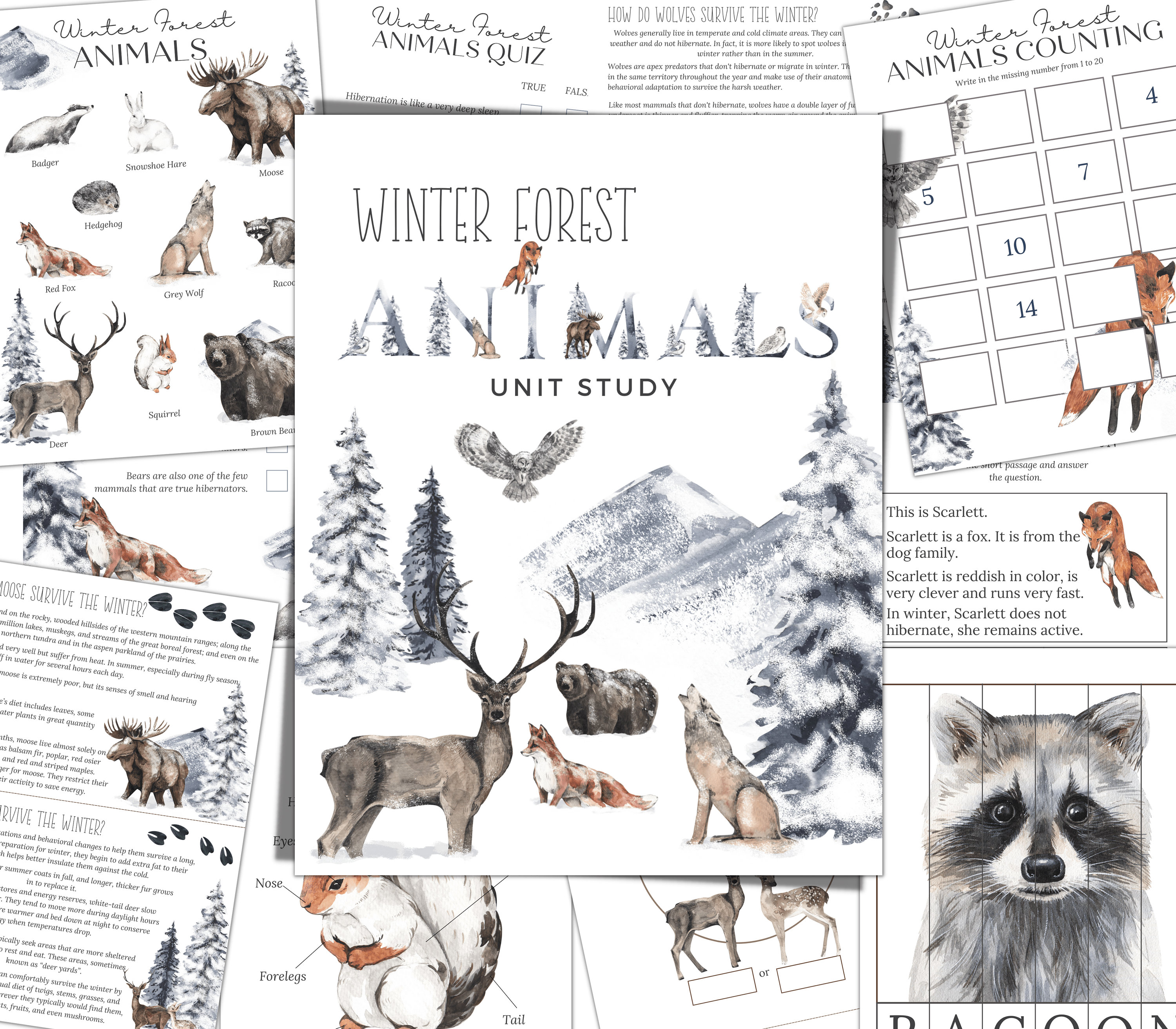 Winter Nature Unit Study Bundle: Forest Animals, Birds, Conifers ...