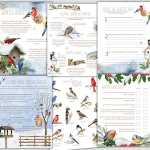 WINTER BIRDS Unit Study, Nature Study, Science, Handwriting, Homeschool ...