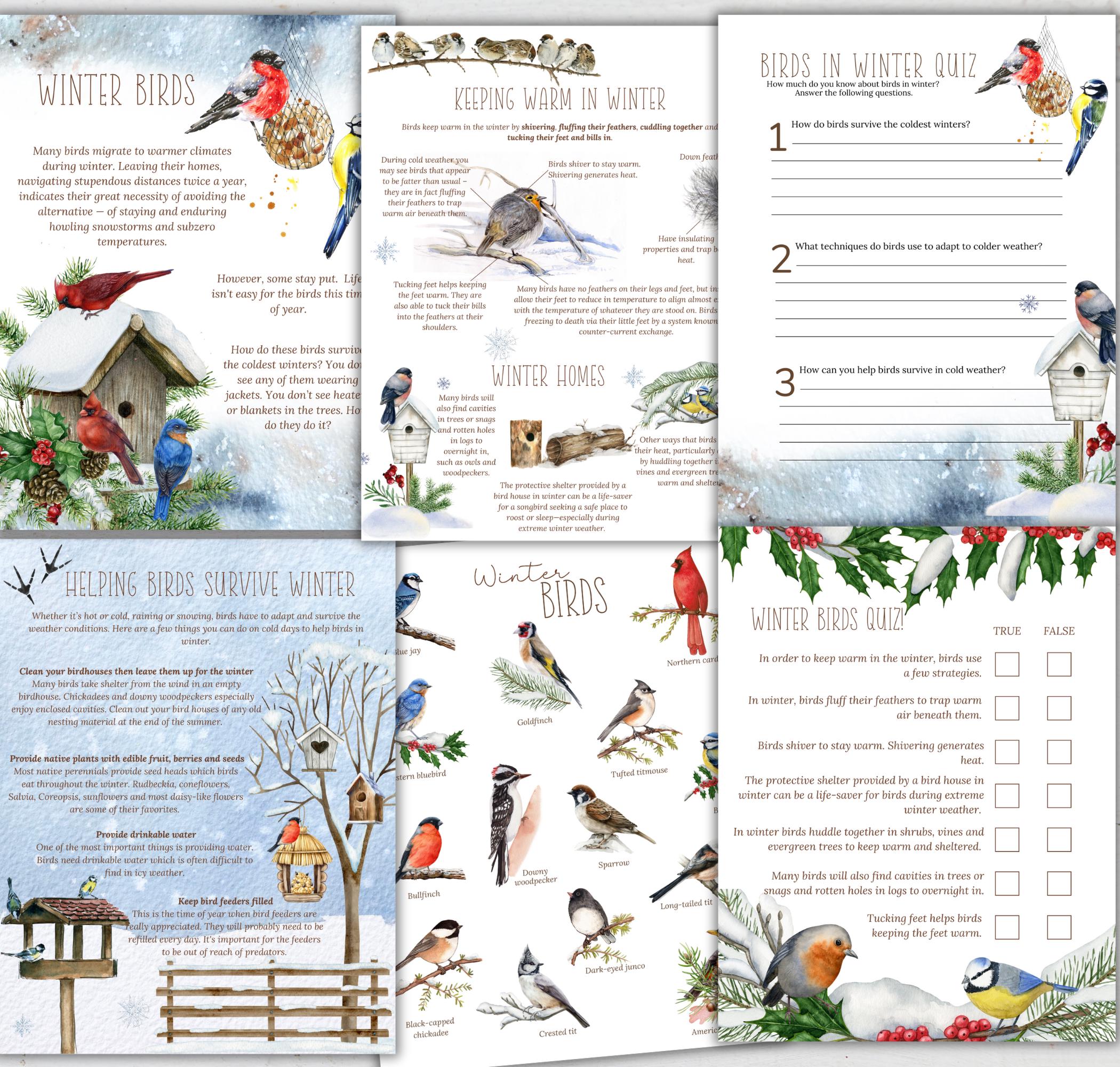 WINTER BIRDS Unit Study, Nature Study, Science, Handwriting, Homeschool ...