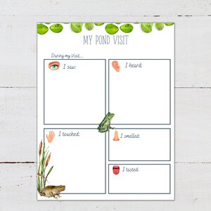 Pond Scavenger Hunt and Pond Walk Observation Activity Pages, Outdoor ...