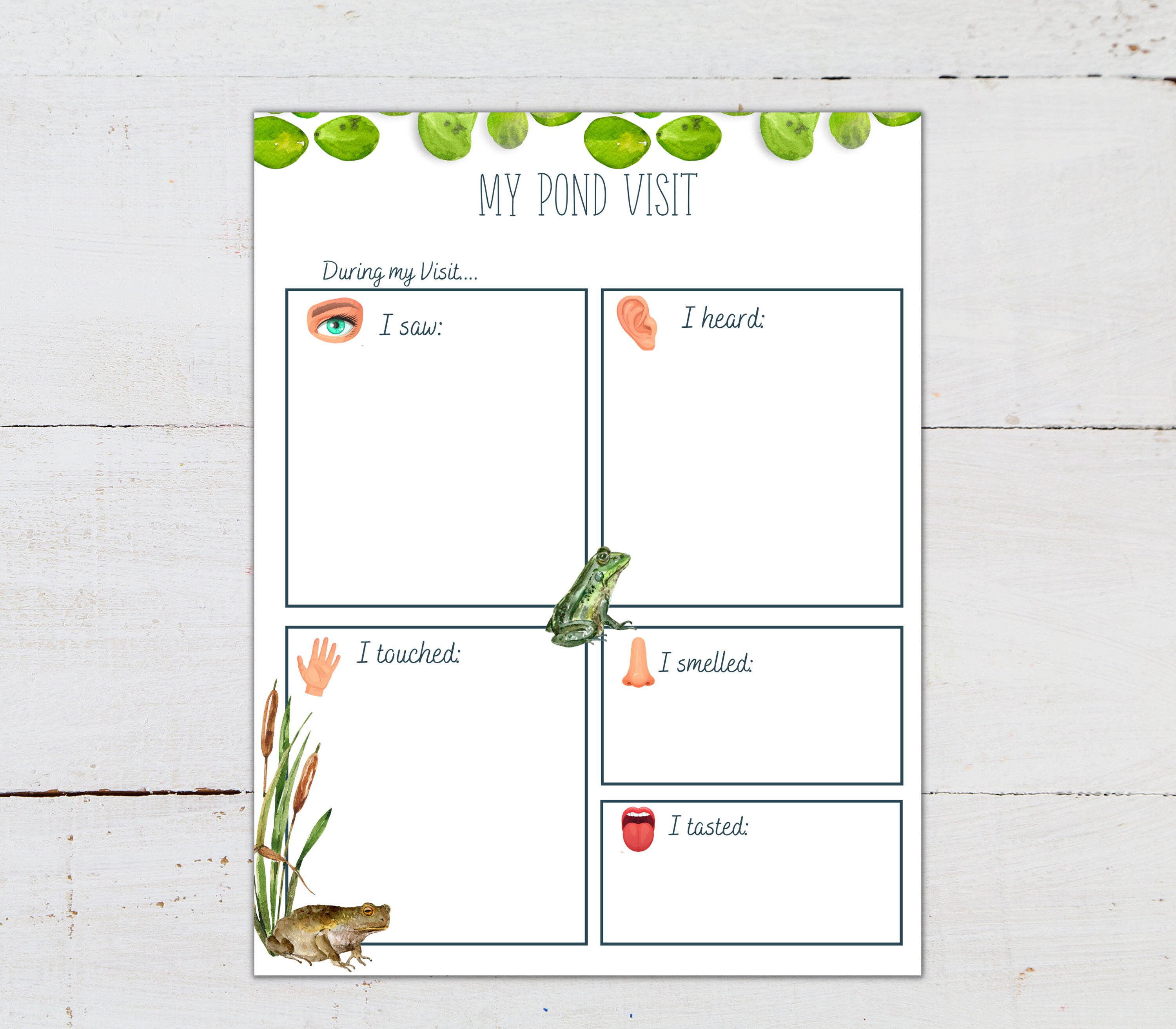 Pond Scavenger Hunt: Observation Activity Pages (printable PDF) - Etsy