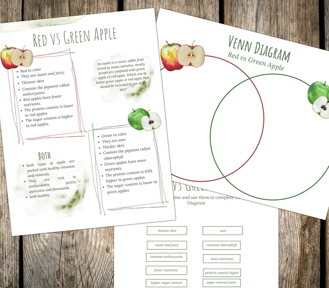 APPLE Unit Study Life Cycle Anatomy Nature Study Science - Etsy