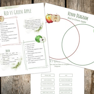 APPLE Unit Study Life Cycle Anatomy Nature Study Science - Etsy