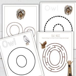 LETTER of the WEEK, O is for Owl, Letter O Activities, Alphabet ...