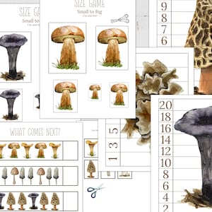 MUSHROOMS of North America Unit Study, Anatomy, Nature Study, Science ...