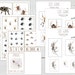 SPIDER Unit Study, Life Cycle, Anatomy, Nature Study, Science ...