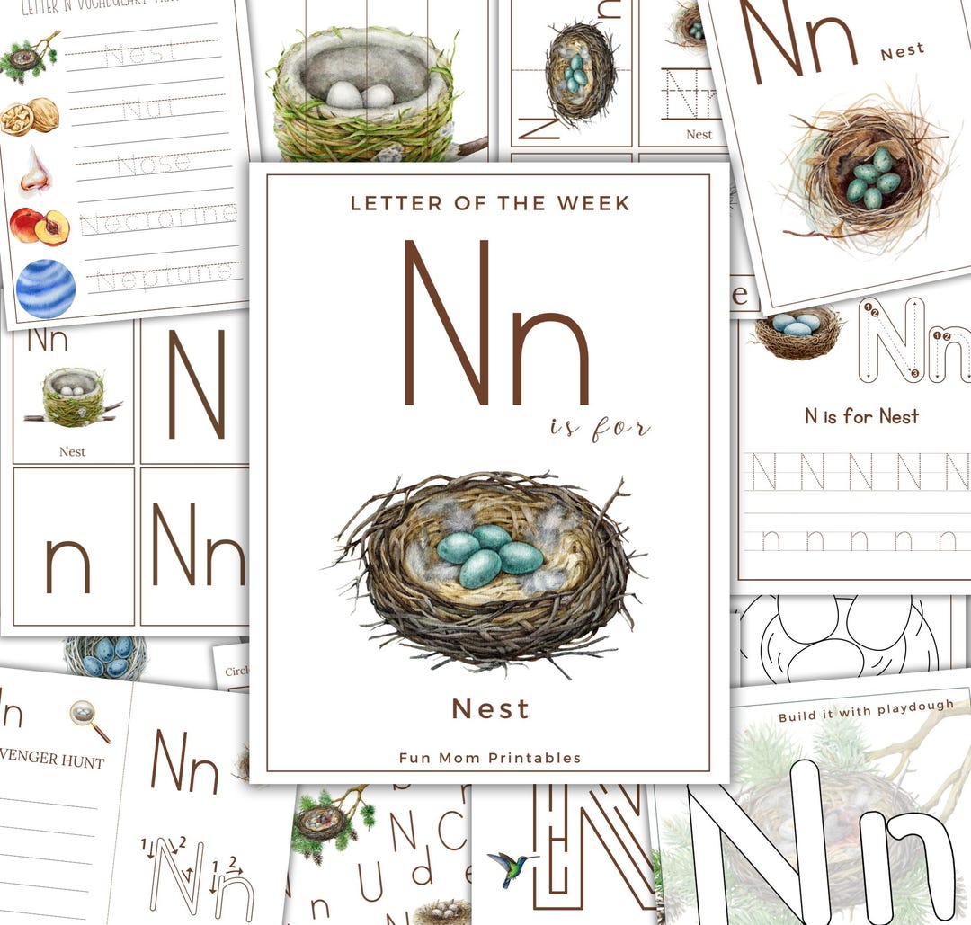 LETTER of the WEEK, N is for Nest, Letter N Activities, Alphabet ...