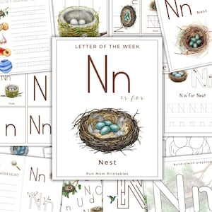 LETTER of the WEEK, N is for Nest, Letter N Activities, Alphabet ...