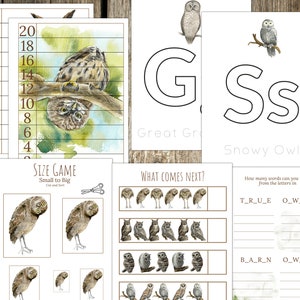 OWLS Unit Study, Life Cycle, Anatomy, Nature Study, Science ...