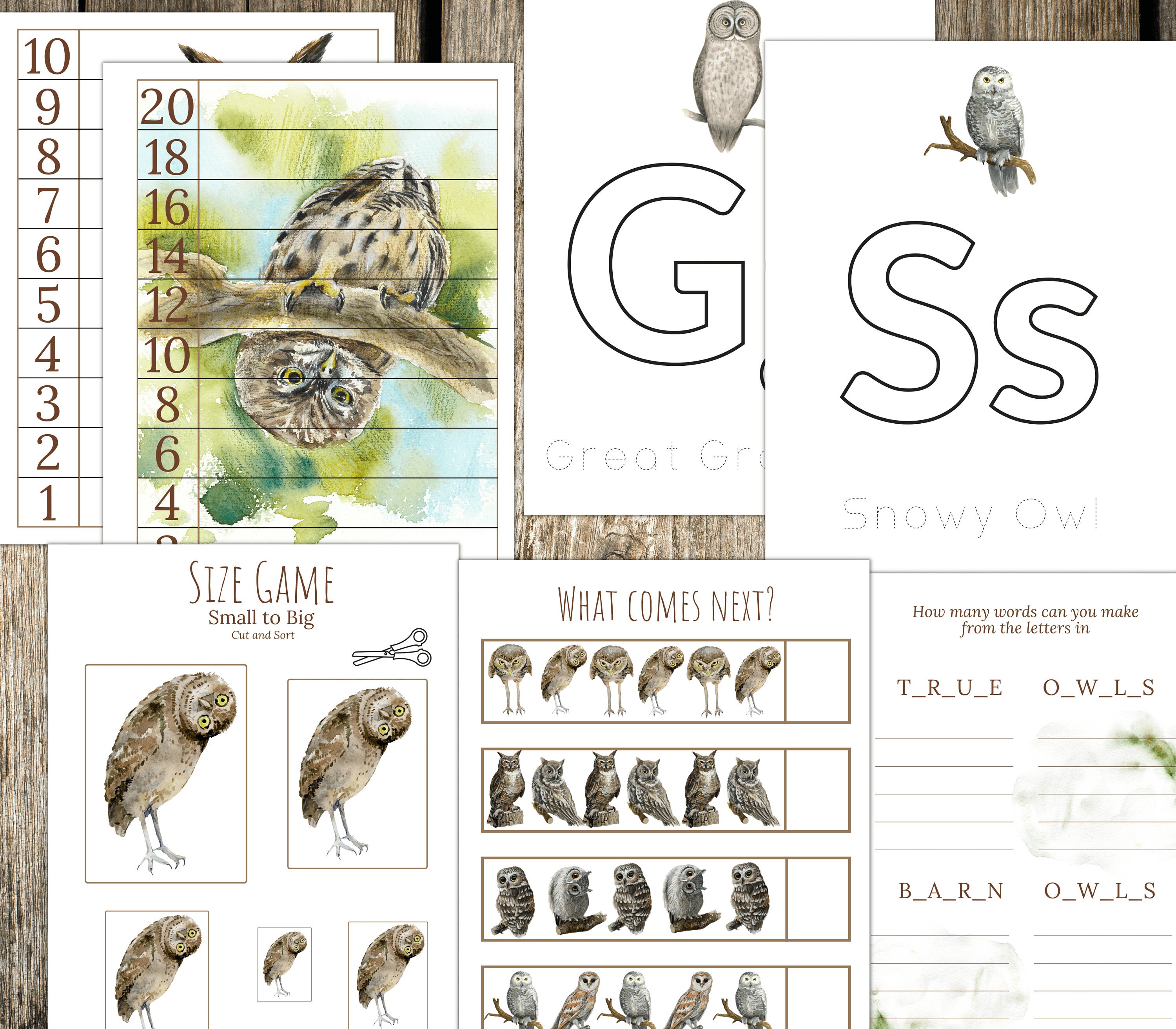 OWLS Unit Study Life Cycle Anatomy Nature Study Science - Etsy