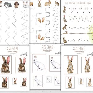 Rabbit and Hare Unit Study: Homeschool Printable (instant Download) - Etsy