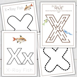 LETTER of the WEEK, X is for X-ray Fish, Letter X Activities, Alphabet ...
