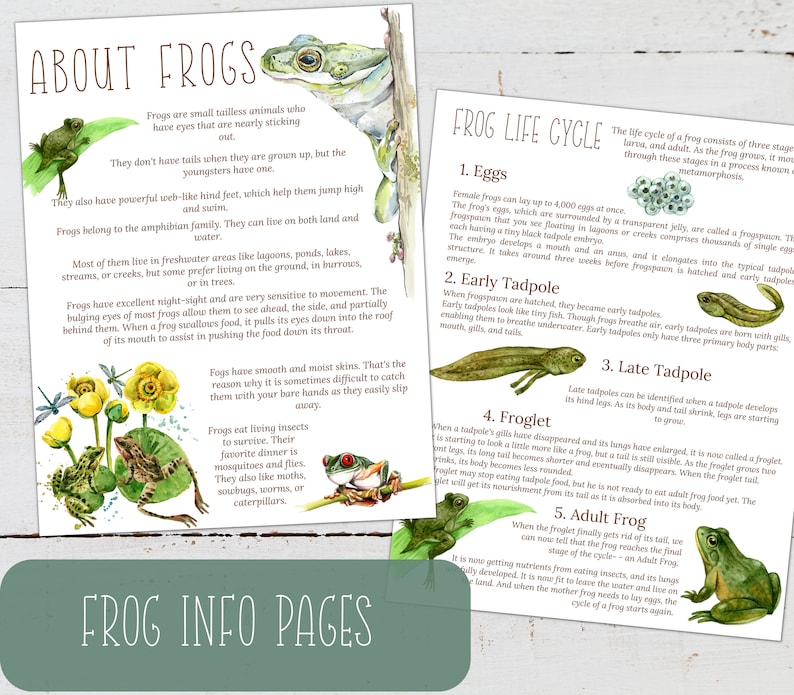 FROG Unit Study, Life Cycle, Anatomy, Nature Study, Science ...