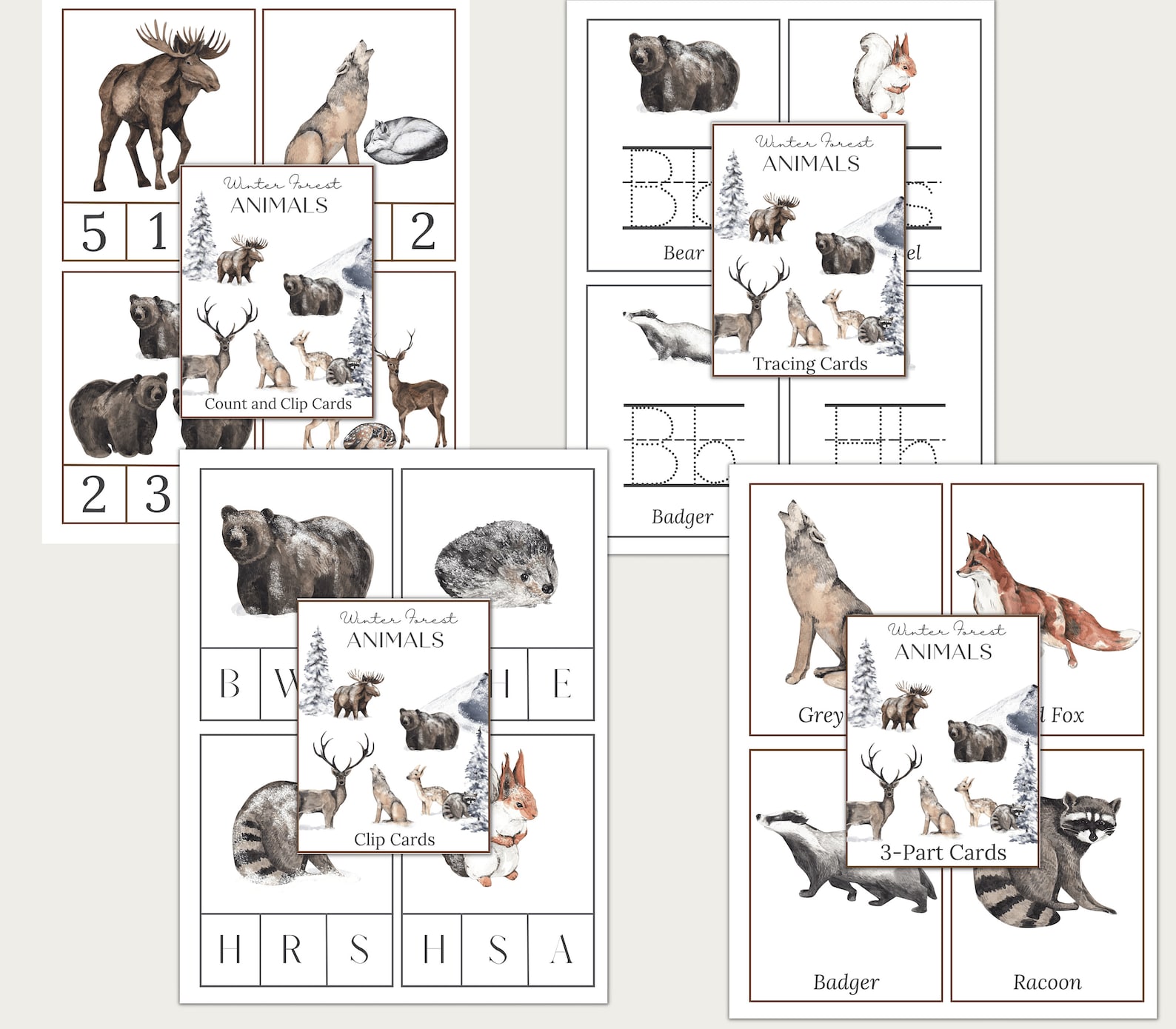 WINTER FOREST ANIMALS Unit Study Anatomy Nature Study - Etsy