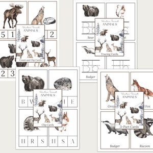 WINTER FOREST ANIMALS Unit Study, Anatomy, Nature Study, Science ...