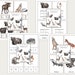 Winter Forest Animals Unit Study: Homeschool Printable (instant ...