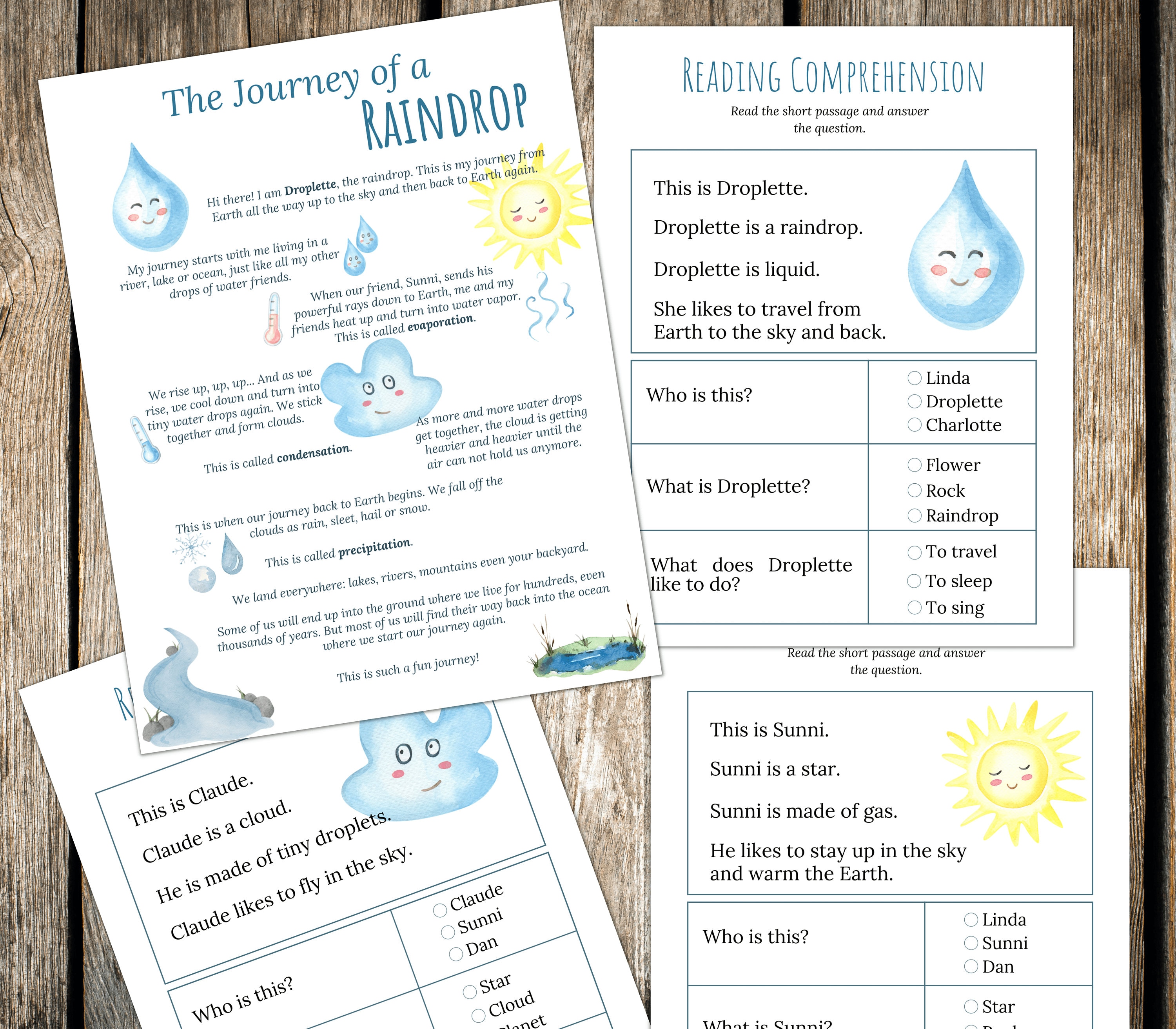WATER CYCLE Unit Study Process Nature Study Science - Etsy