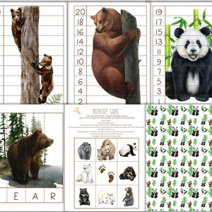 BEARS Unit Study, Life Cycle, Anatomy, Nature Study, Science ...
