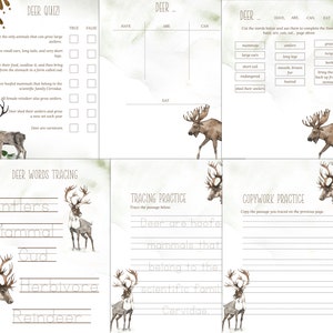 Deer Unit Study: Life Cycle, Anatomy, Homeschool Printable (instant ...