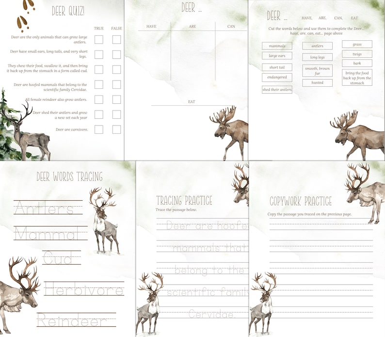 DEER Unit Study Life Cycle Anatomy Nature Study Science - Etsy