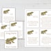 FROG Anatomy, Poster, Labeling Activity, Fact Cards and Tracing ...