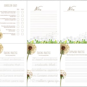 DANDELION Unit Study, Life Cycle, Anatomy, Nature Study, Science ...