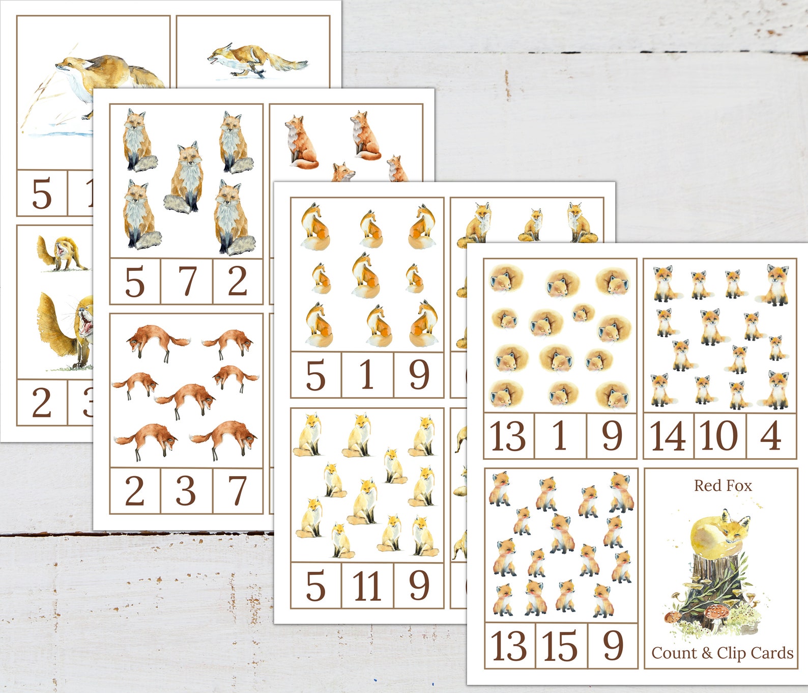 Red Fox Unit Study: Life Cycle, Anatomy, Homeschool Printable (instant ...