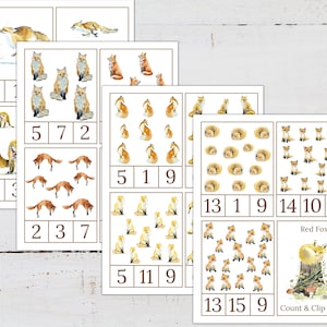 Red Fox Unit Study: Life Cycle, Anatomy, Homeschool Printable (instant ...