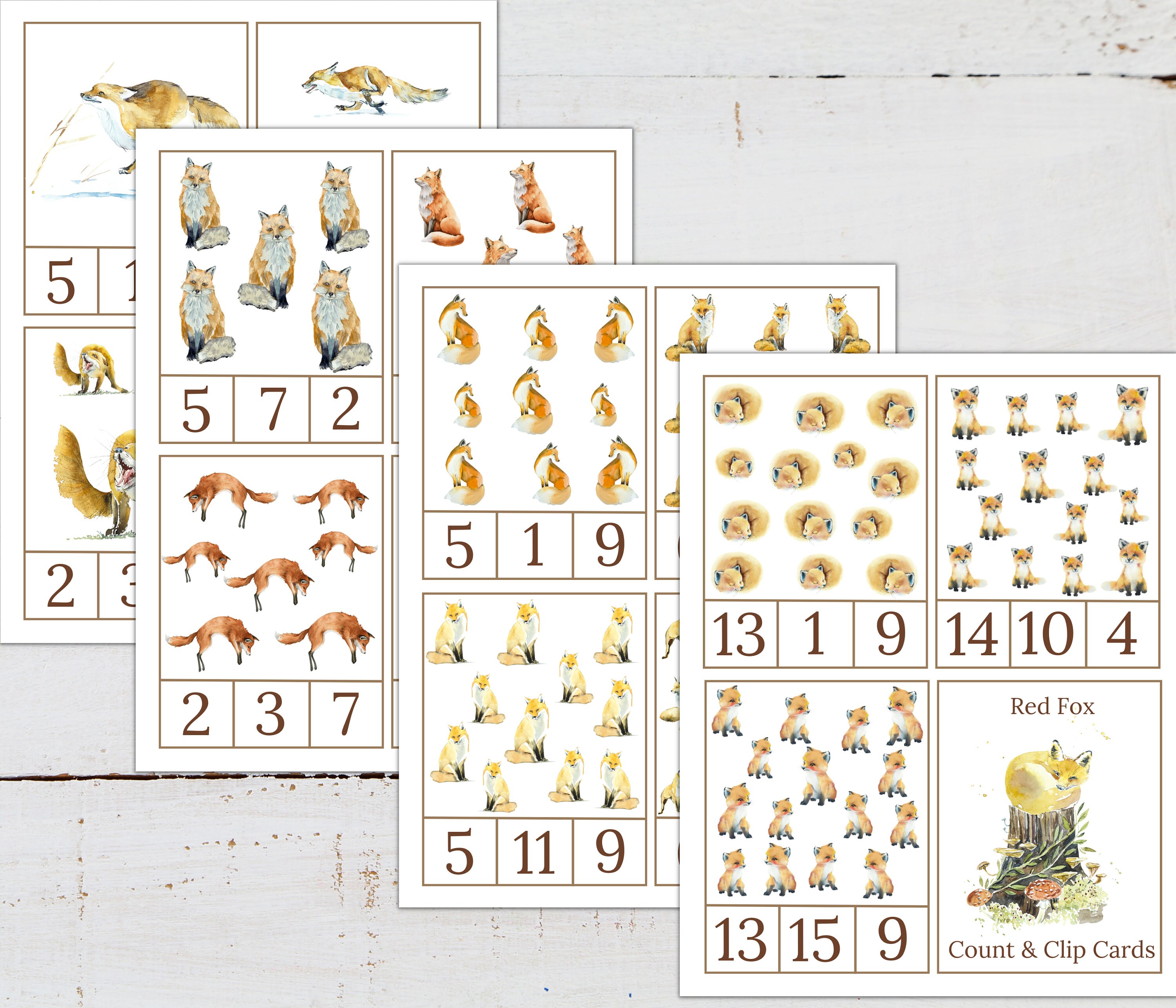 Red Fox Unit Study: Life Cycle, Anatomy, Homeschool Printable (instant ...