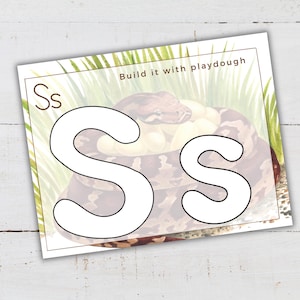 LETTER of the WEEK, S is for Snake, Letter S Activities, Alphabet ...