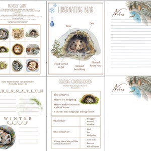 WINTER SLEEP Unit Study, Hibernation, Nature Study, Science ...