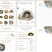 WINTER SLEEP Unit Study, Hibernation, Nature Study, Science ...