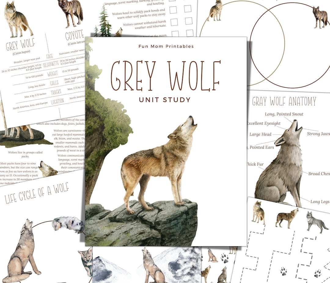 GREY WOLF Unit Study, Life Cycle, Anatomy, Nature Study, Science ...