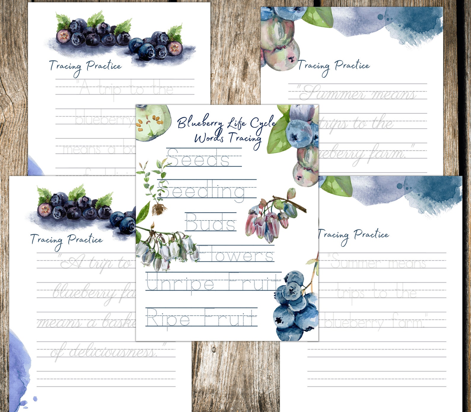 BLUEBERRY Unit Study Life Cycle Anatomy Nature Study - Etsy UK