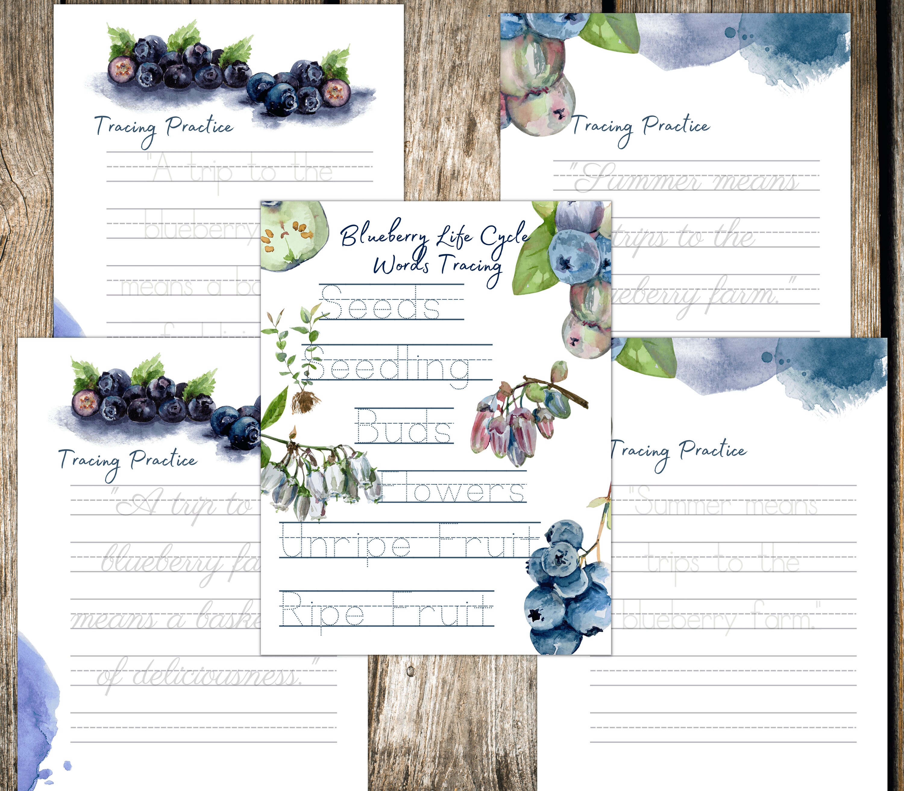 BLUEBERRY Unit Study Life Cycle Anatomy Nature Study - Etsy UK