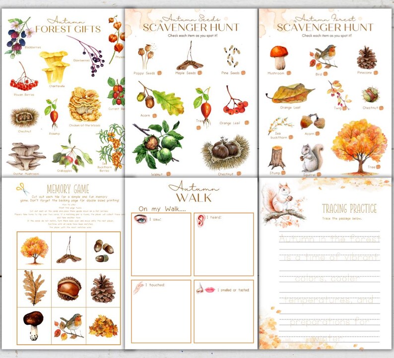 Autumn in the Forest Unit Study: Nature Study and Activities, Instant ...