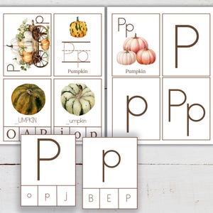 LETTER of the WEEK, P is for Pumpkin, Letter P Activities, Alphabet ...