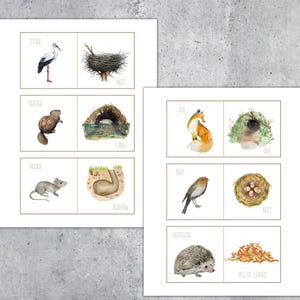 ANIMAL HOMES Flashcards and Matching Activity, Instant Download - Etsy