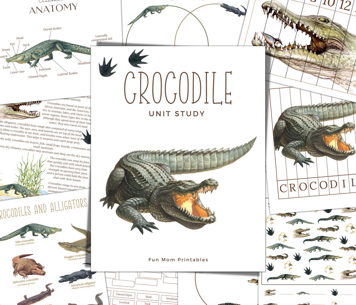Crocodile Unit Study: Homeschool Science Printable (instant Download ...