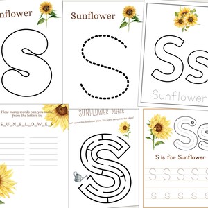 SUNFLOWER Unit Study, Life Cycle, Anatomy, Nature Study, Science ...