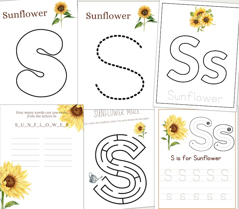 Sunflower Unit Study: Life Cycle, Anatomy, Homeschool Printable ...