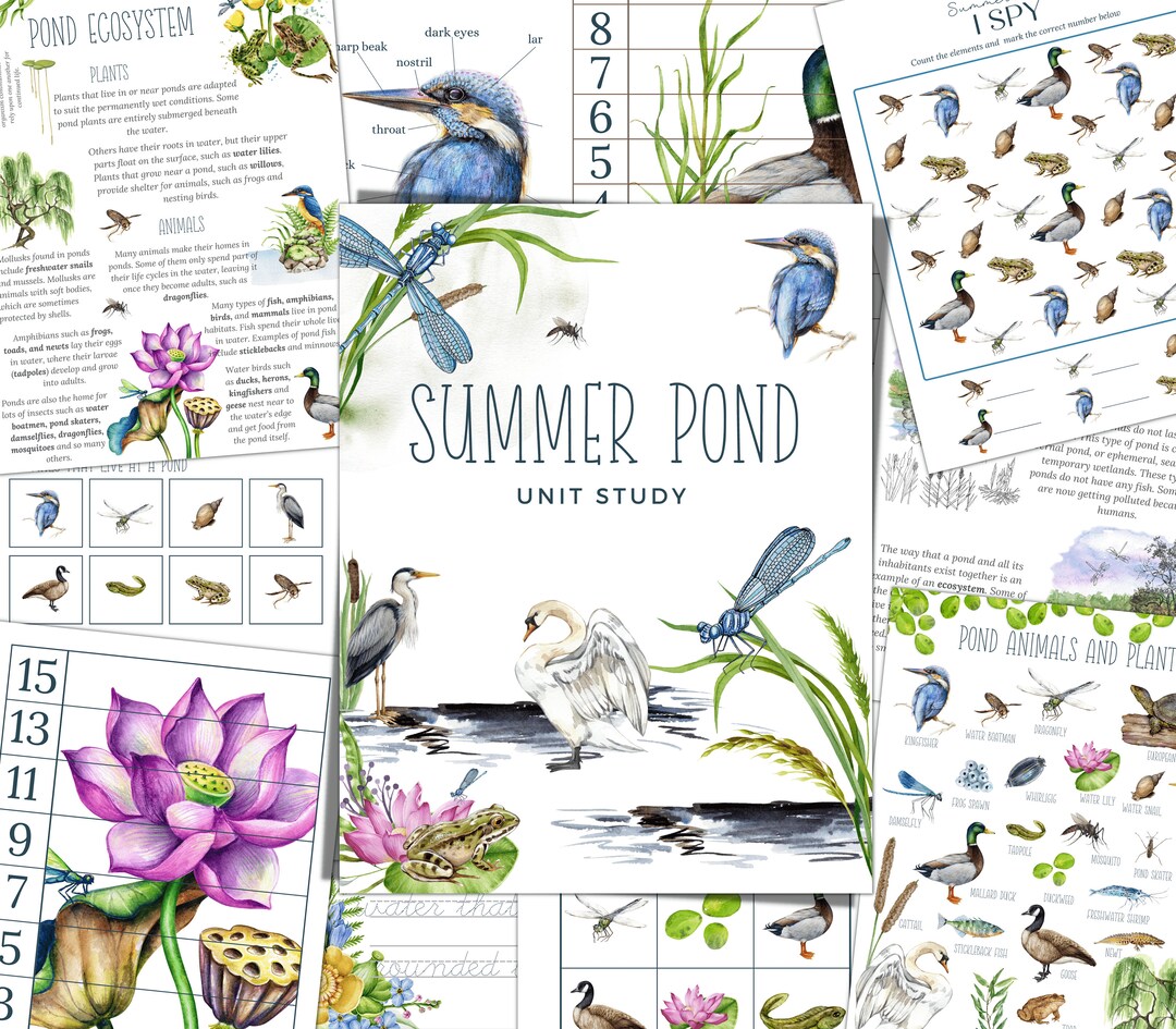 POND Unit Study, Animals and Plants Unit, Life Cycle, Anatomy, Nature ...