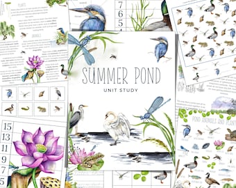 POND LIFE Unit Study, Life Cycle, Anatomy, Nature Study, Science ...