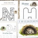 ANIMAL HOMES Unit Study, Nature Study, Science, Handwriting, Homeschool ...